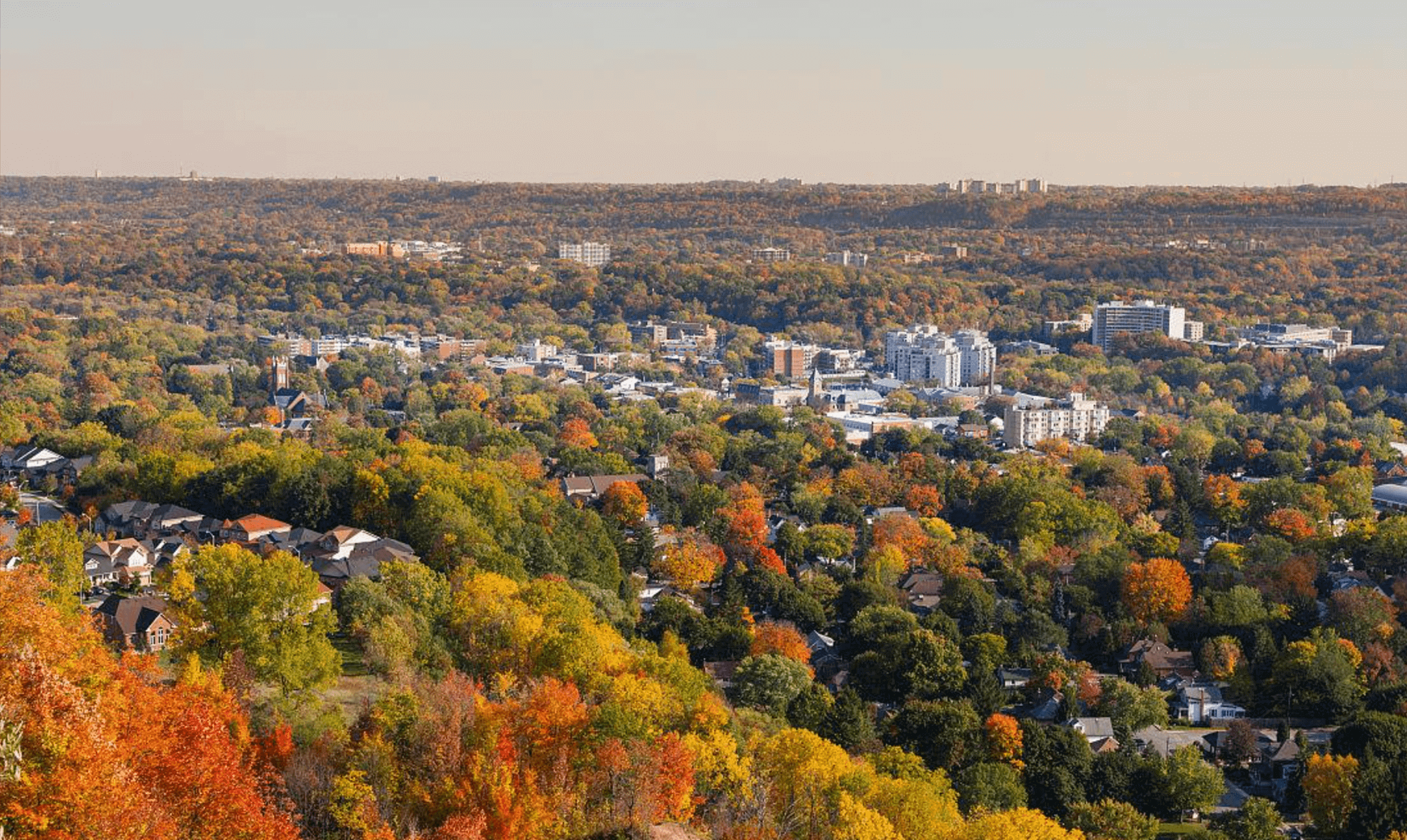麦克马斯特大学